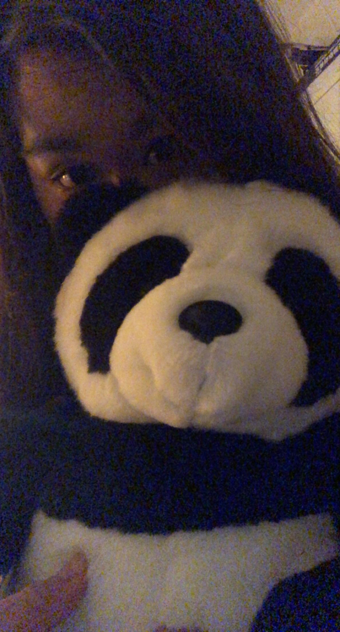 it’s cooold so thank goodness i have mr. panda | Scrolller