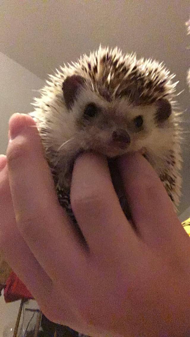 It’s my precious | Scrolller