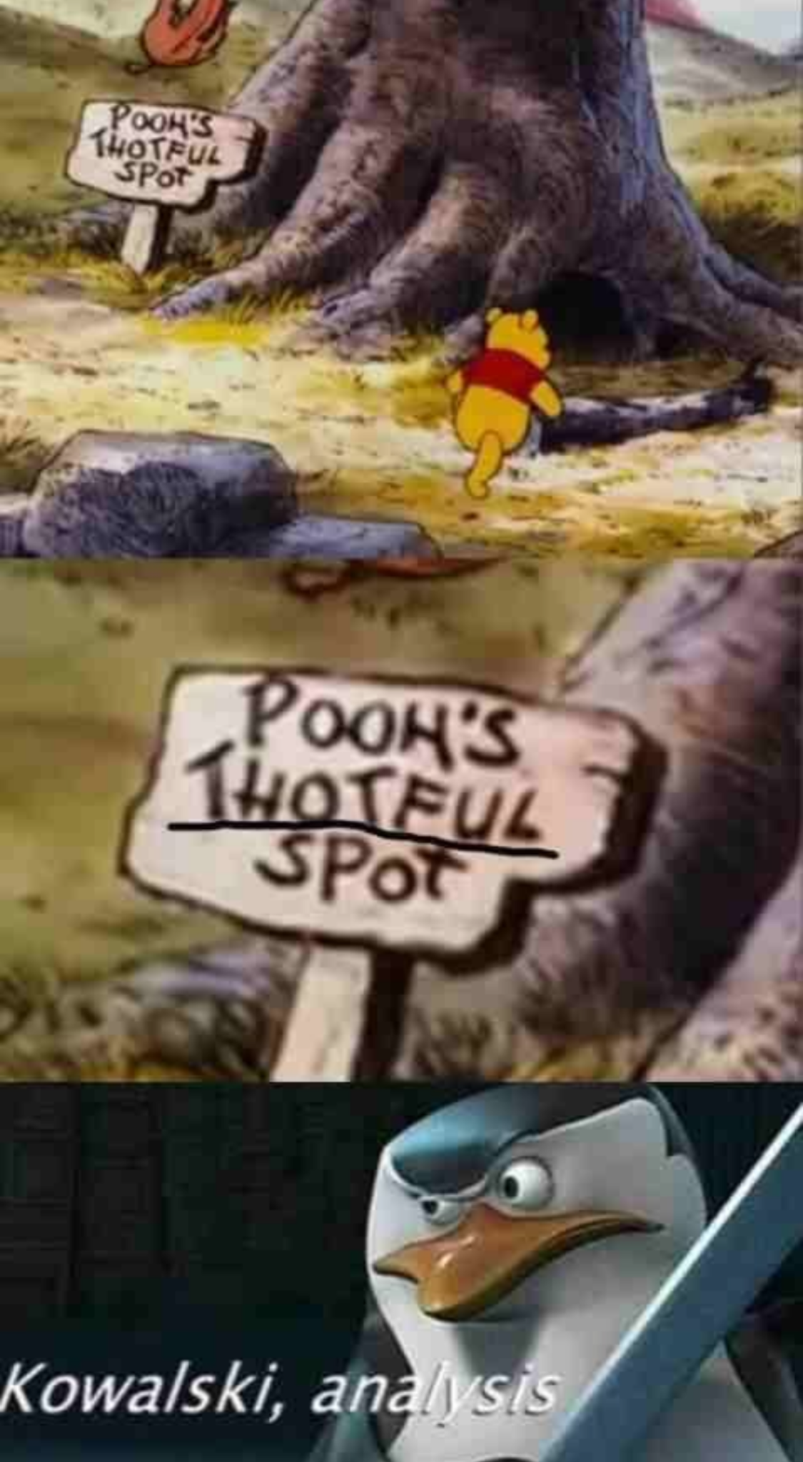 It seems we all had Poo wrong | Scrolller