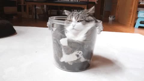 it was on his bucket list | Scrolller