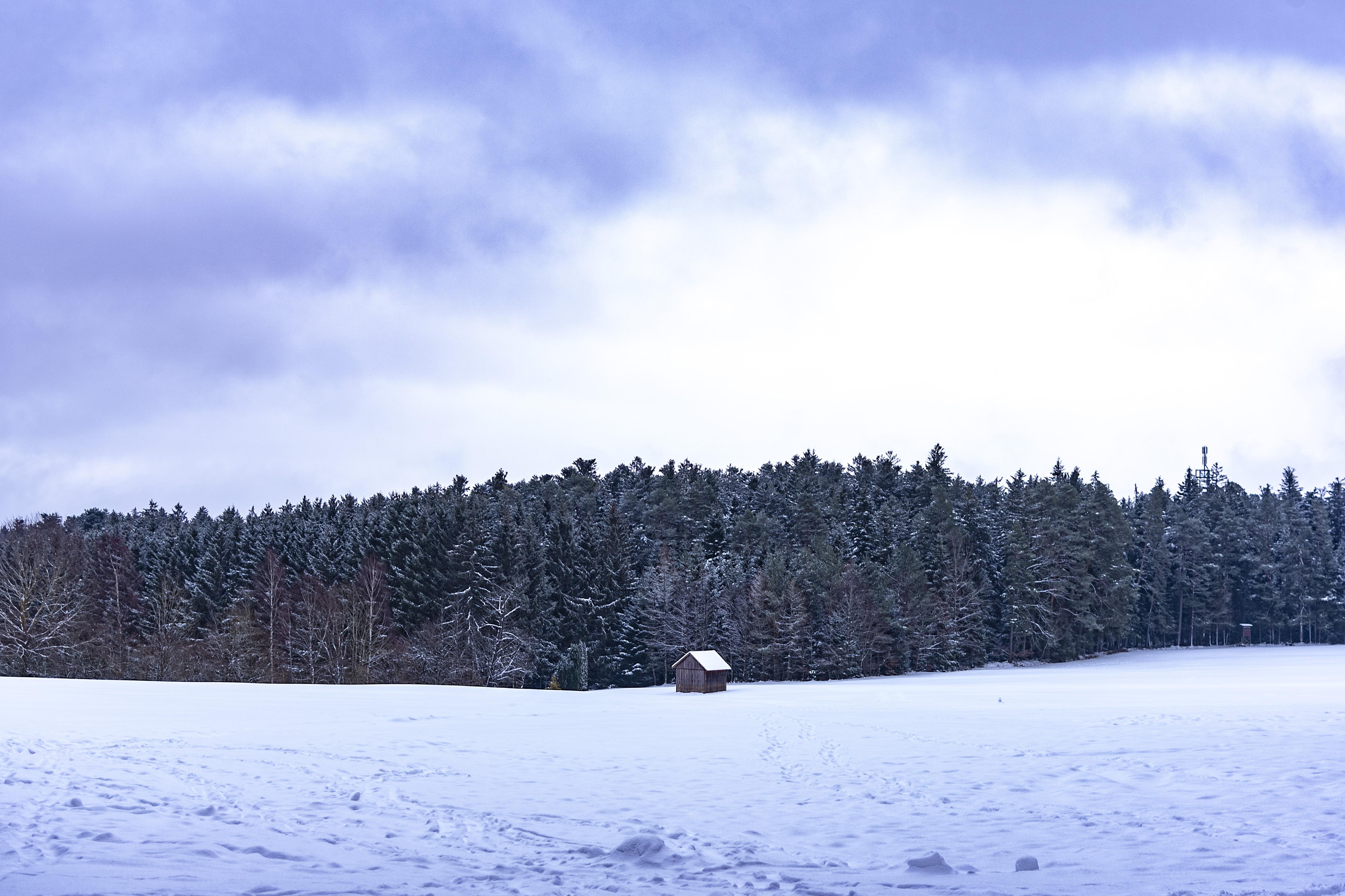 ITAP of a small hut in the Black Forest | Scrolller
