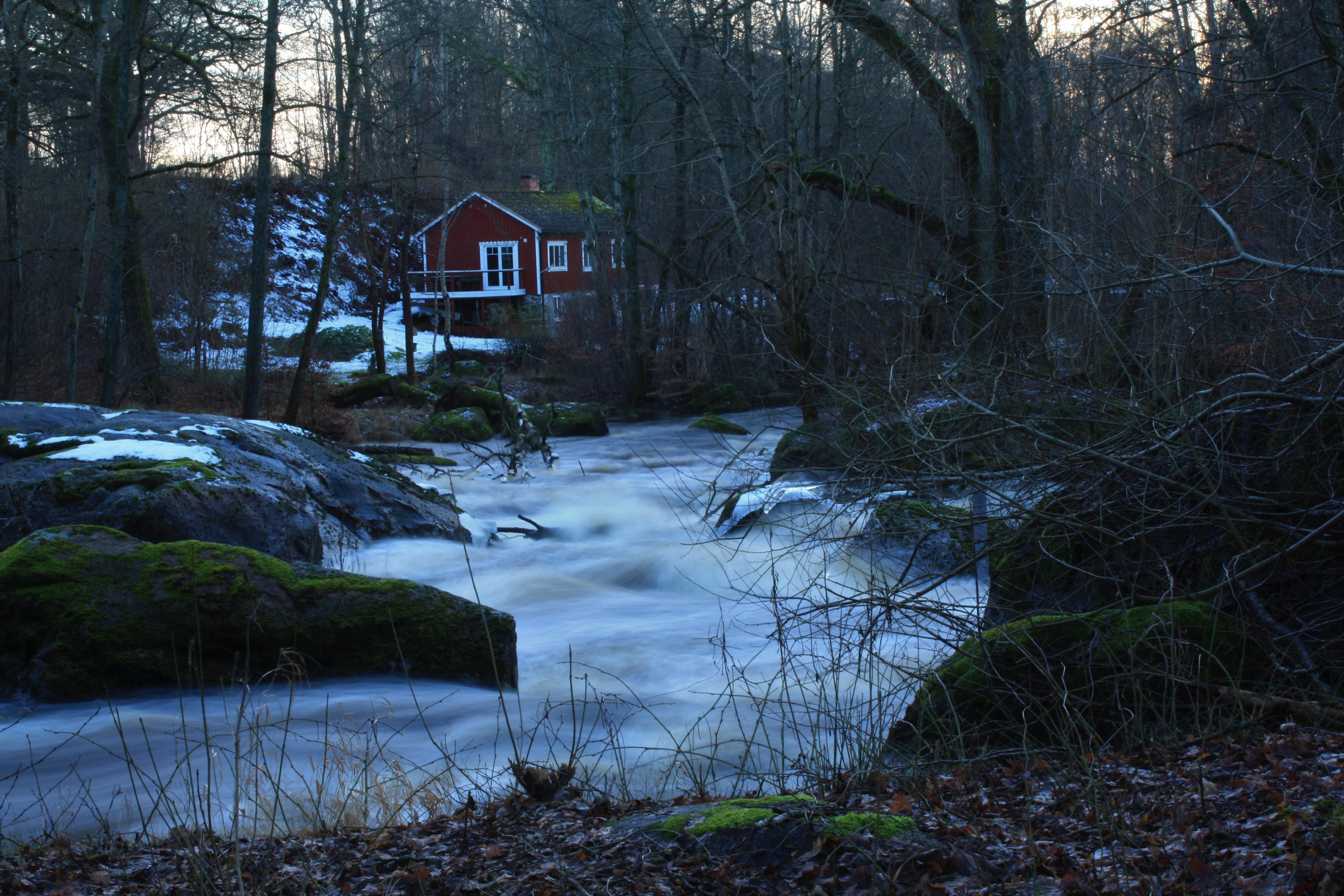 ITAP of river | Scrolller