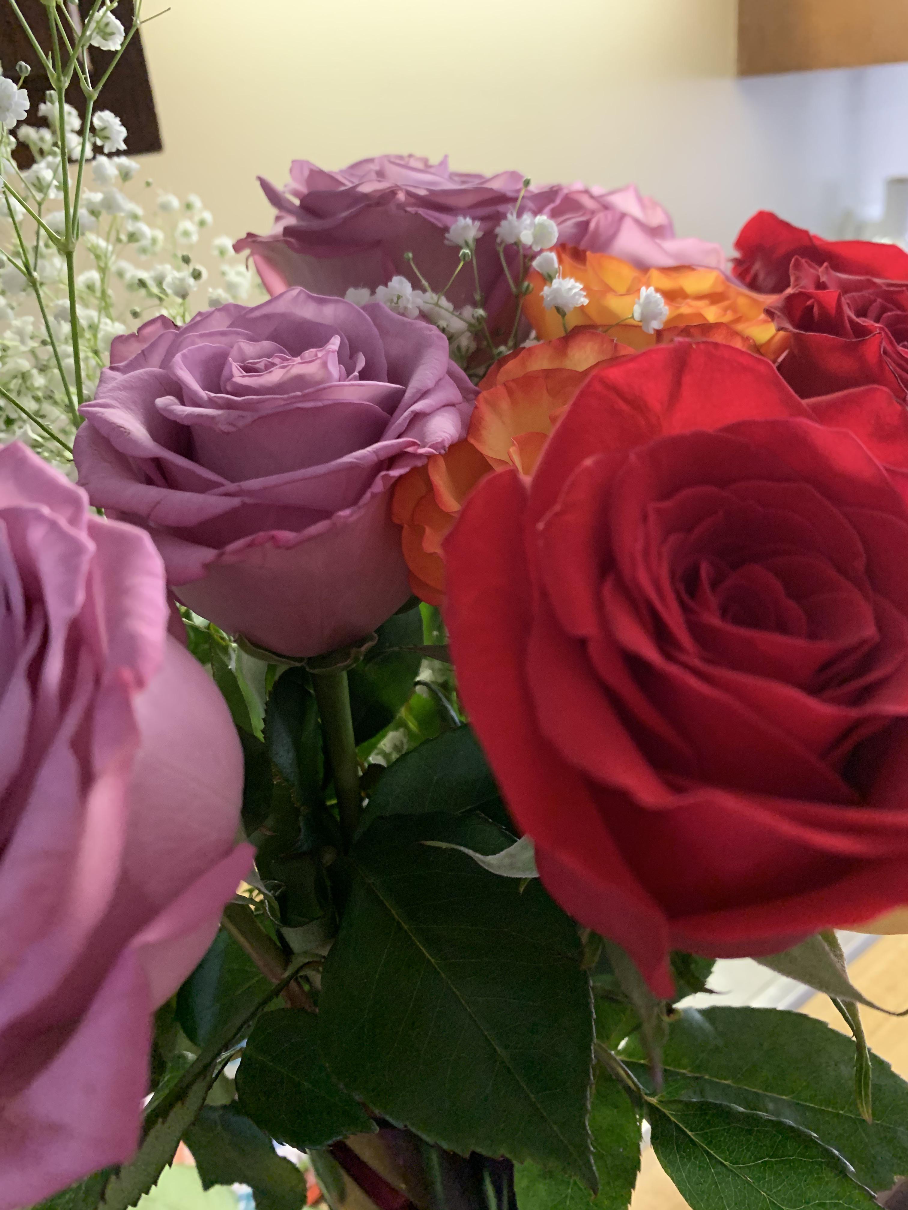 ITAP of roses | Scrolller