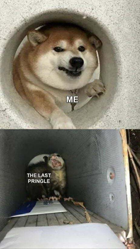 It's a real problem | Scrolller