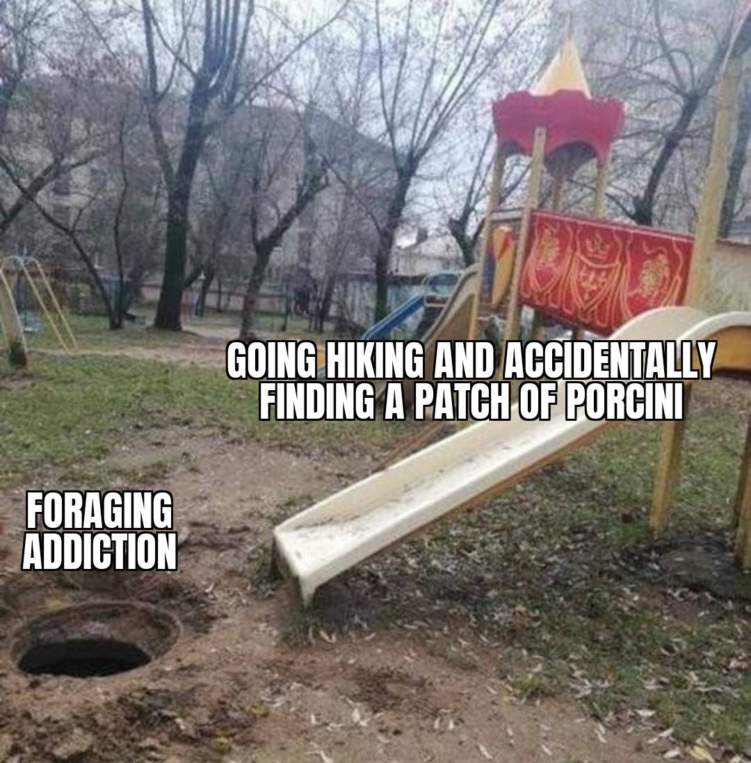 It's a slippery slope, a delicious slippery slope | Scrolller