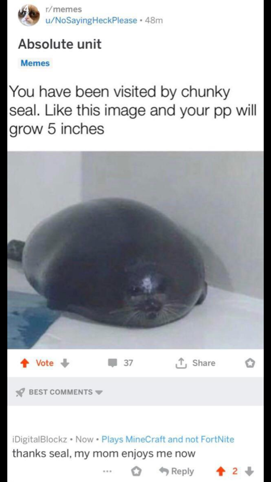 It's a win win situation | Scrolller