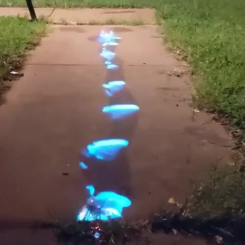 Its alive | Scrolller