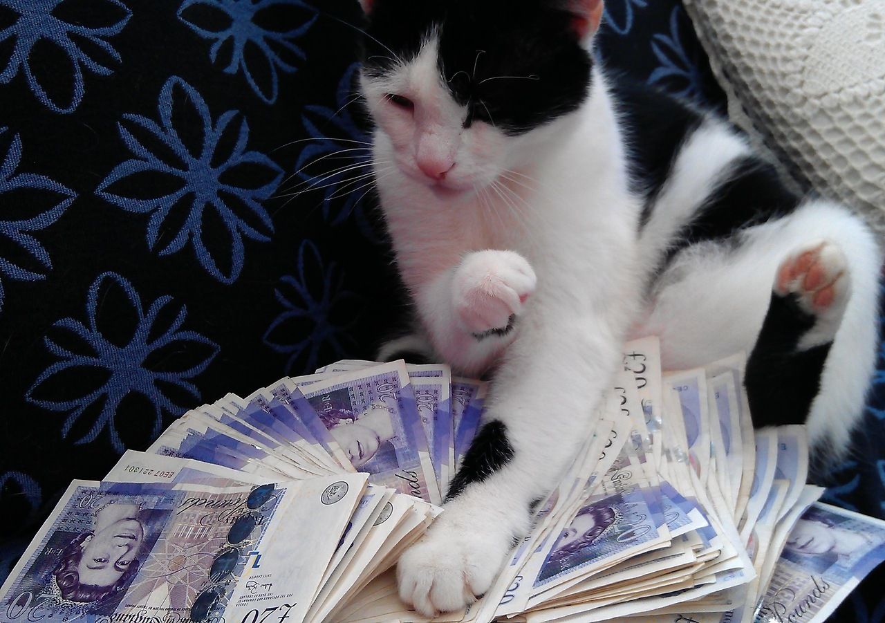 It's all mine! | Scrolller