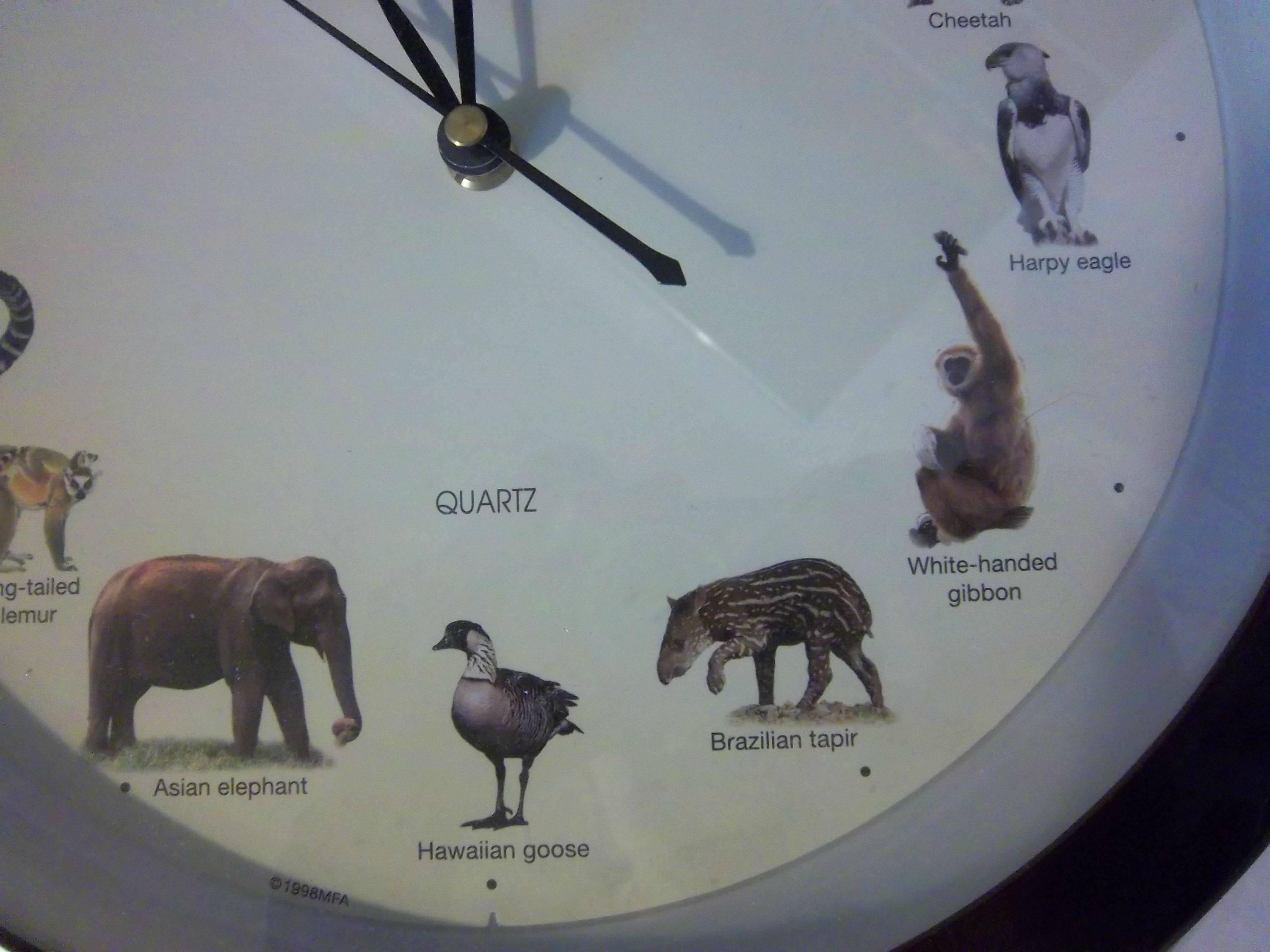 It's always 5 o'clock somewhere. | Scrolller