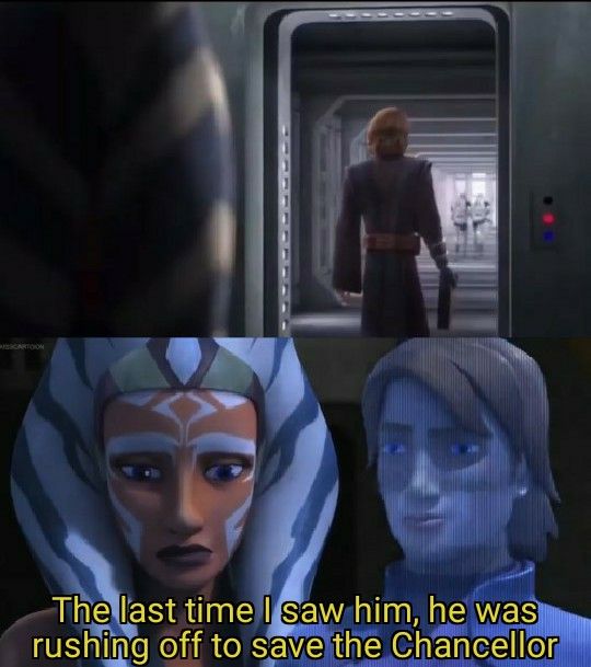 It's amazing how they are connected | Scrolller