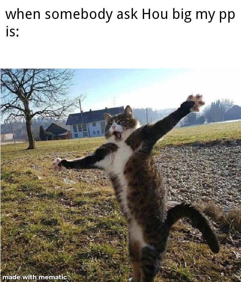 It's big pp time | Scrolller