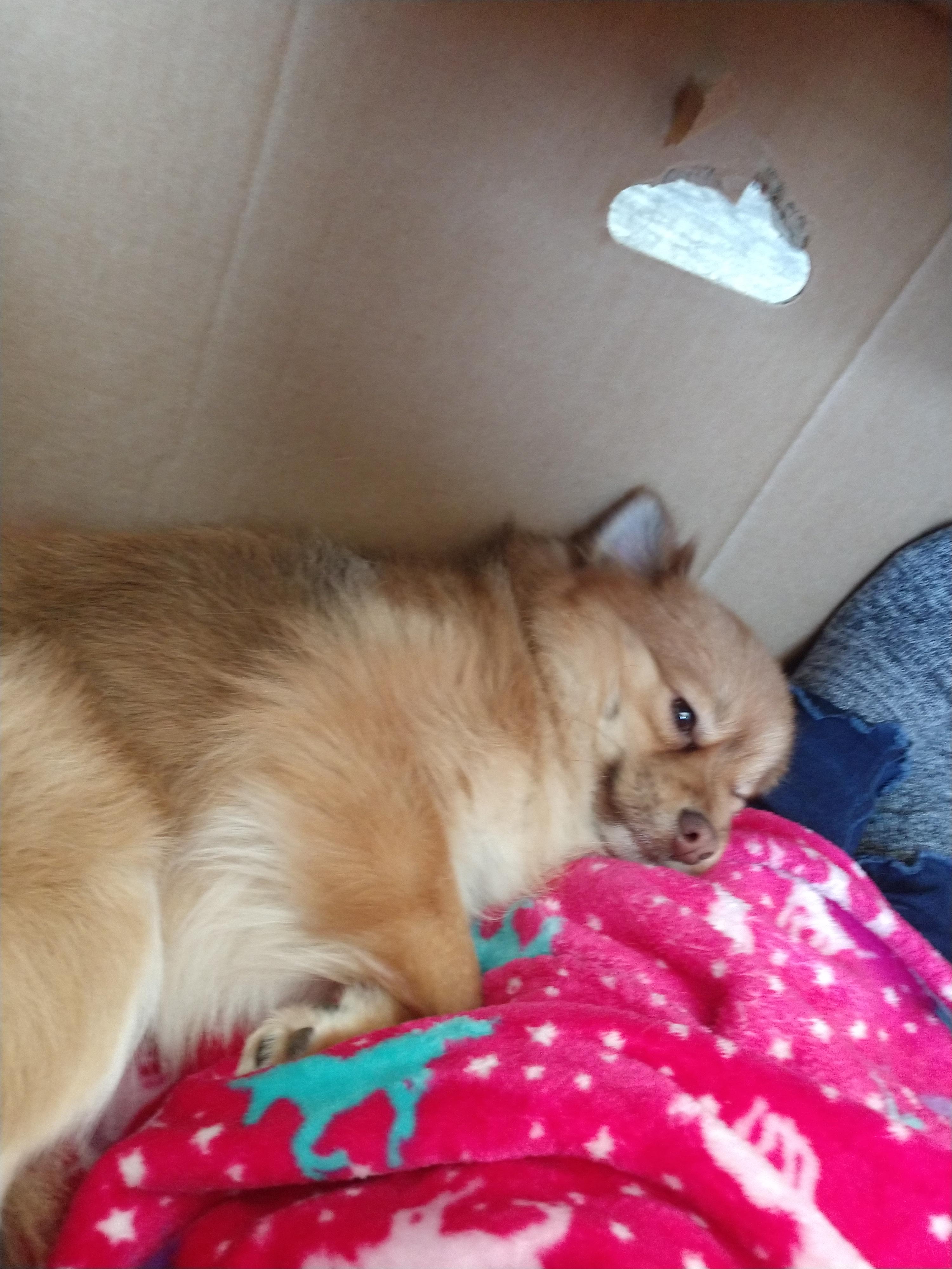 It's gonna be a long night! | Scrolller