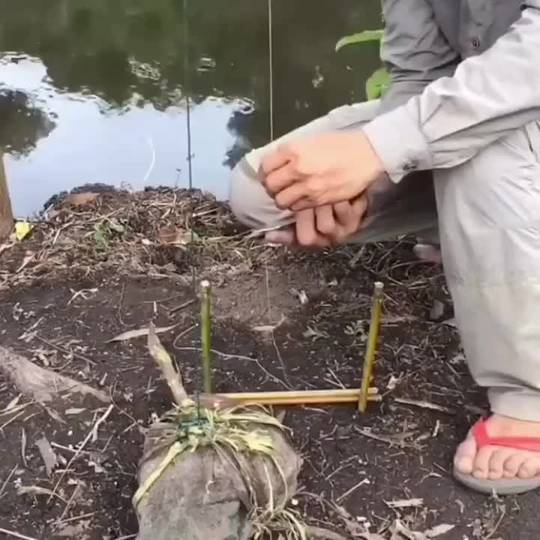 Easy fish trap | Scrolller