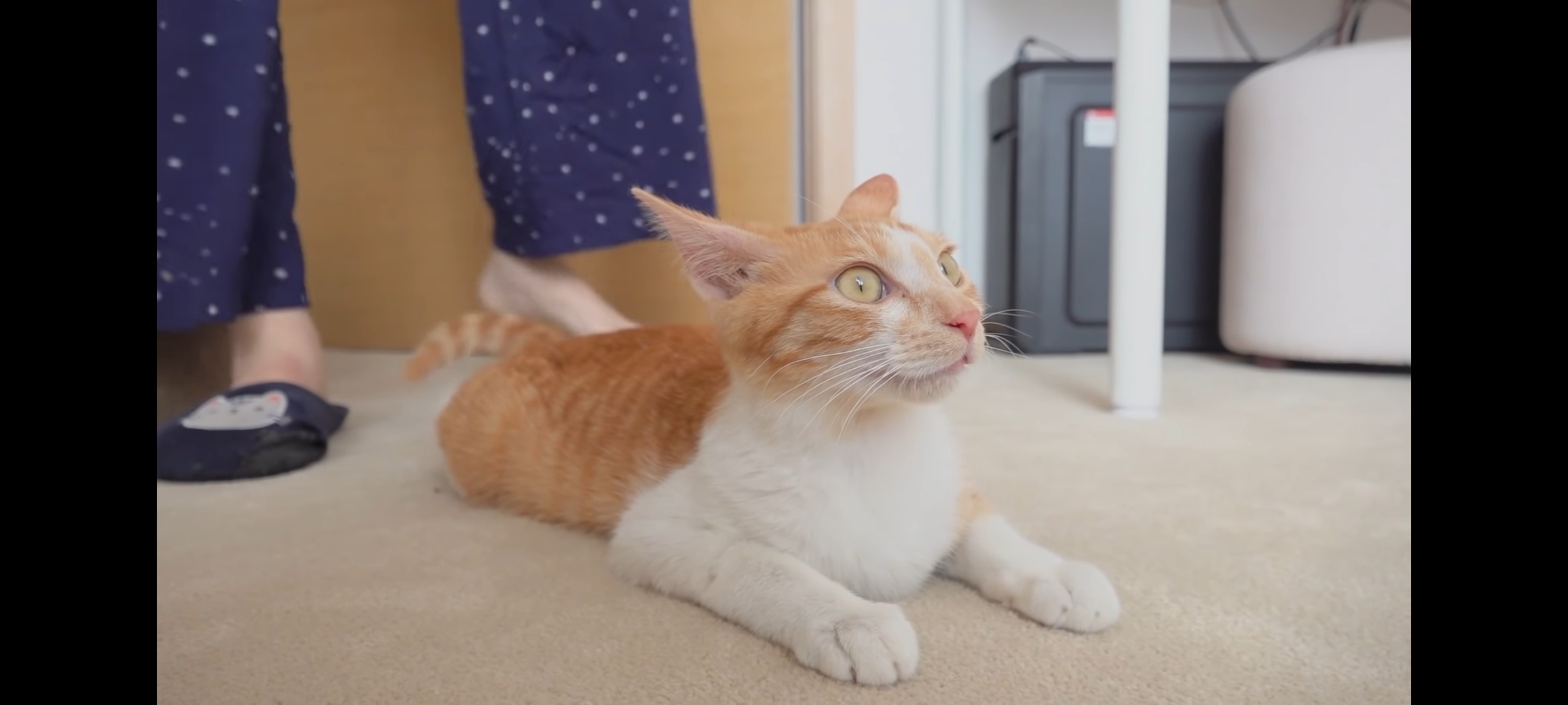 "Ive seen some shit man!" | Scrolller