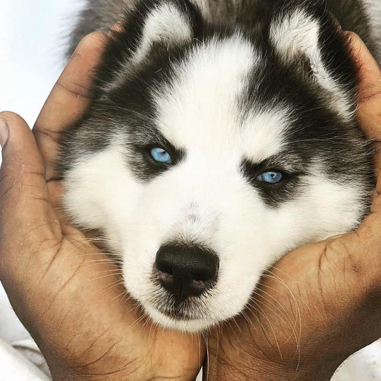 Jake is such a cutie | Scrolller