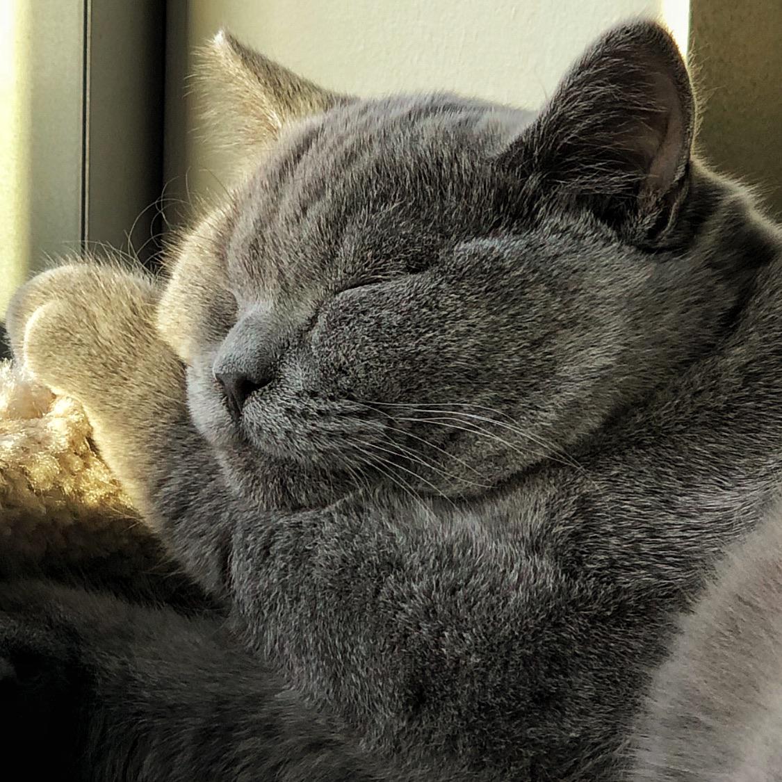 James is a soft boi | Scrolller