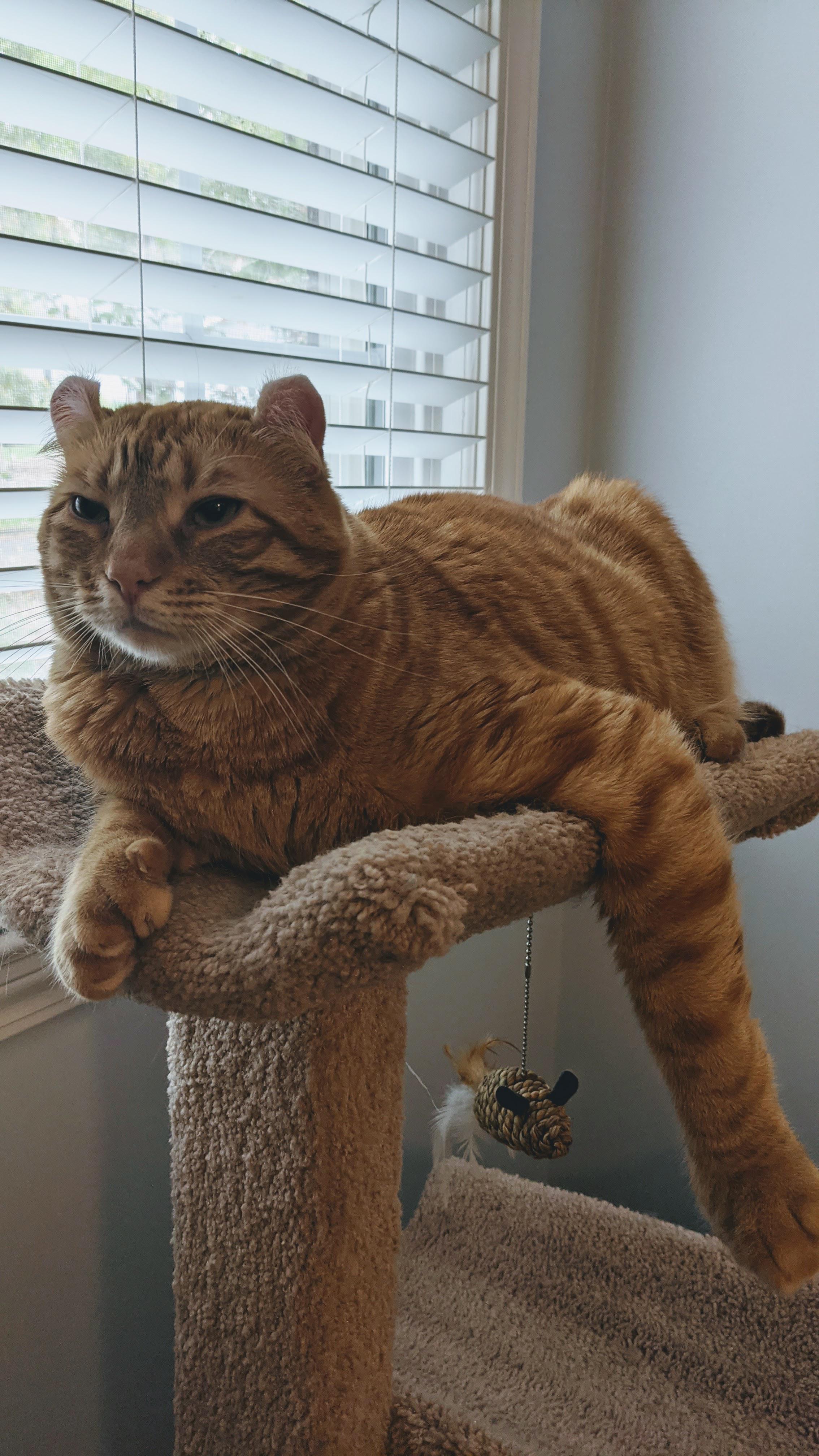 Jared looks a little sus | Scrolller