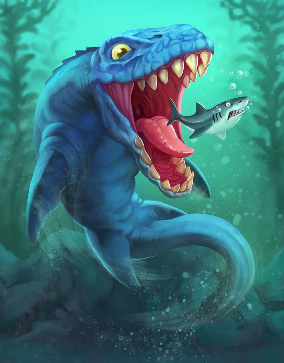 Jaws by Niki Vaszi | Scrolller