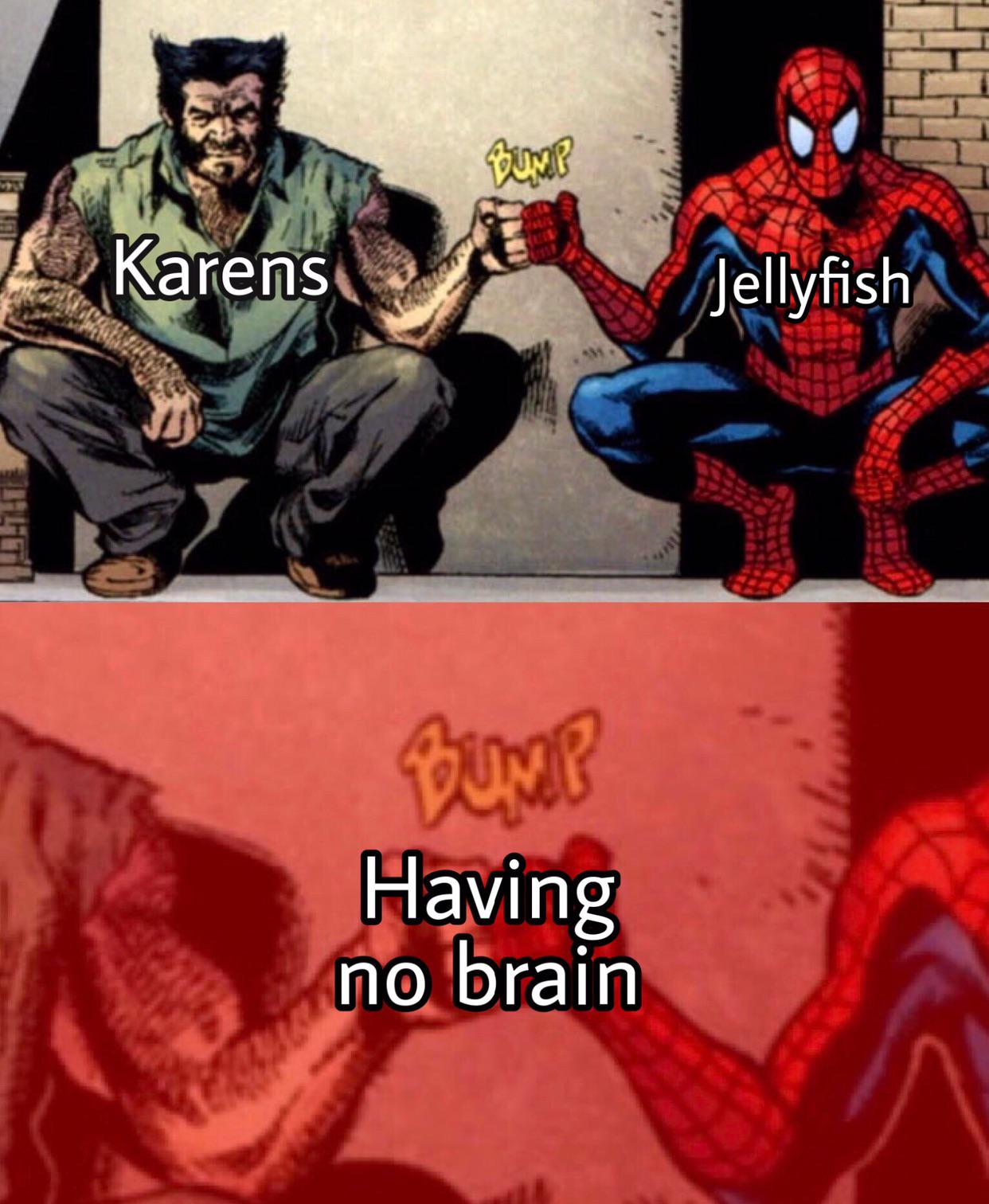 Jellyfish be no brain. | Scrolller