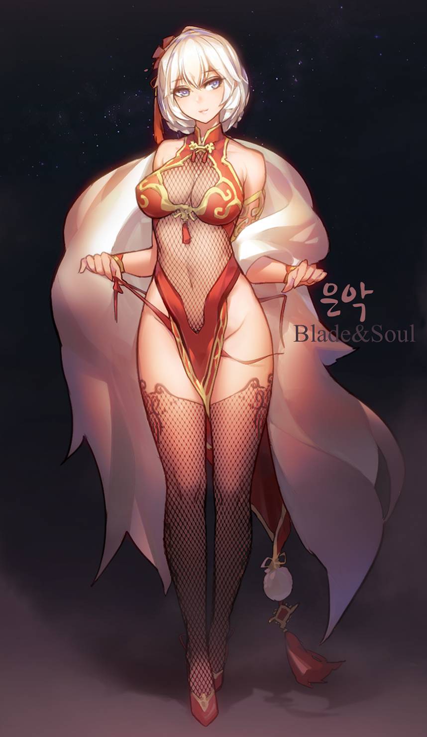 Jin Fishnet Leotard (Ludaf) [Blade And Soul] | Scrolller