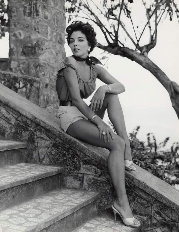 Joan Collins | Scrolller
