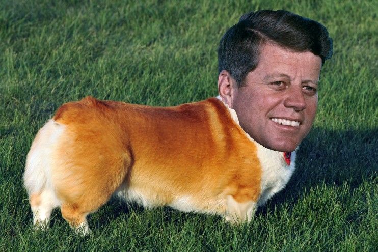John Doggo Kennedy | Scrolller