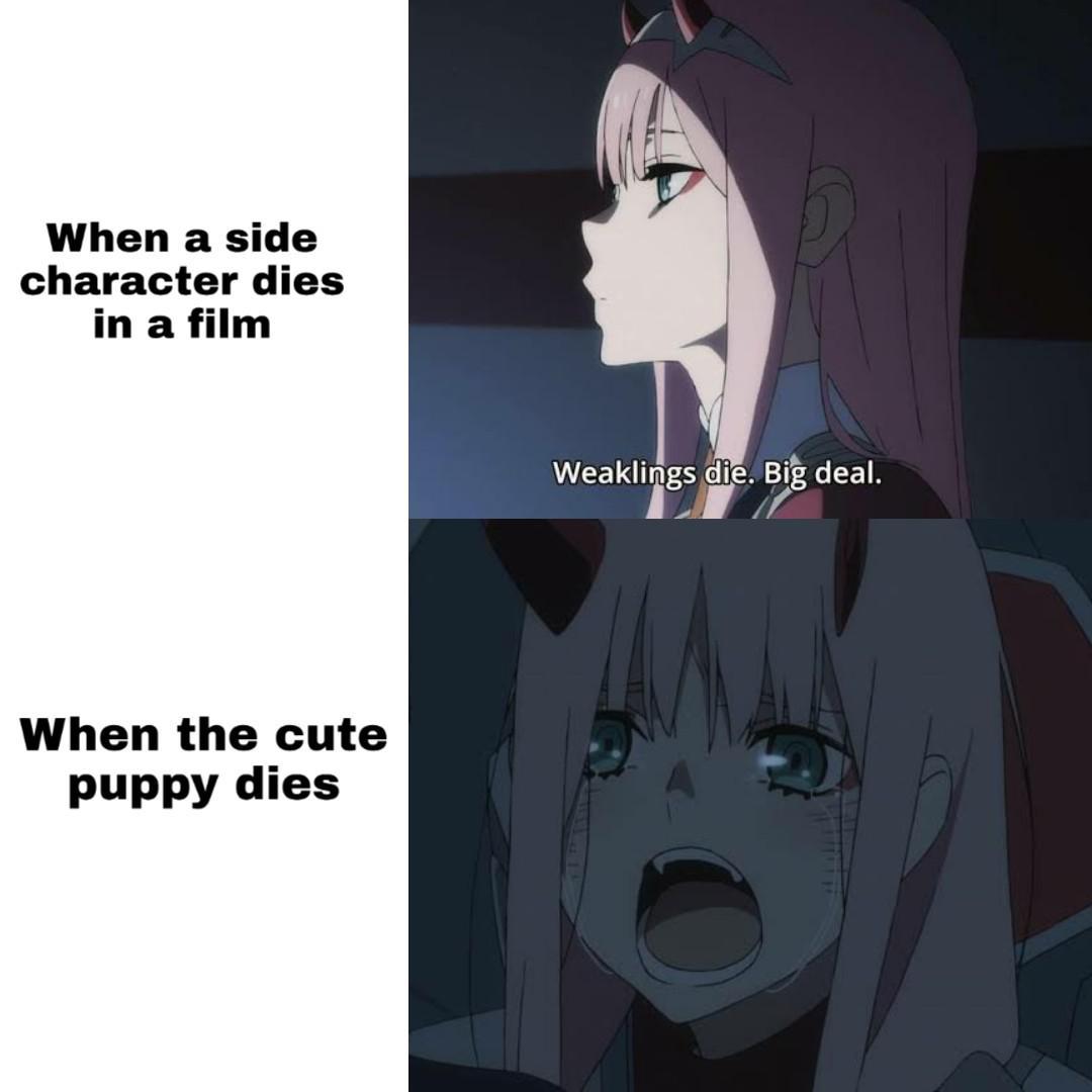 John Wick Flashbacks | Scrolller