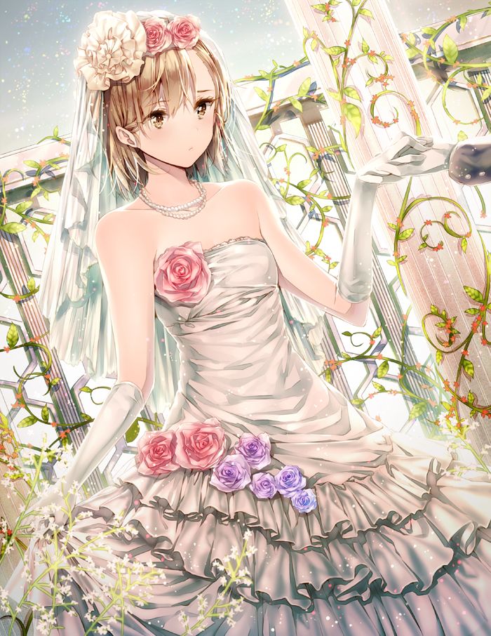 June Bride Biribiri. [Toaru series] | Scrolller