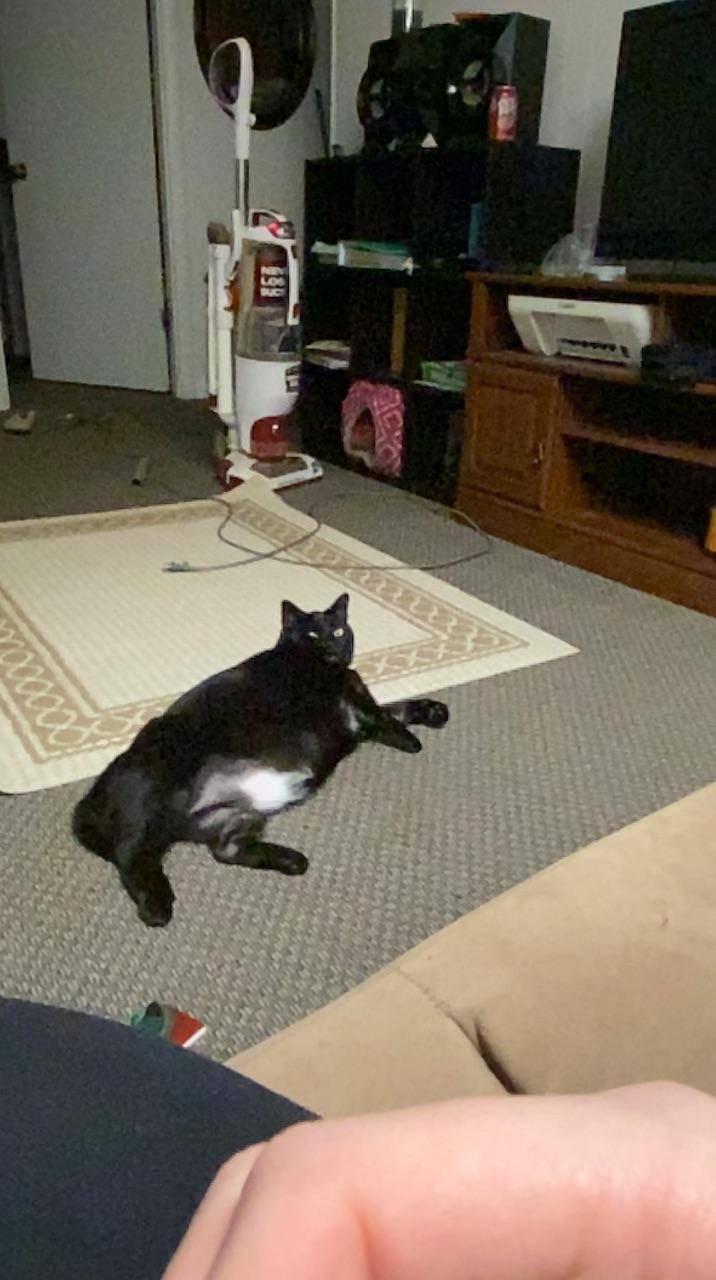 Junie b do be fat doe 😳 | Scrolller