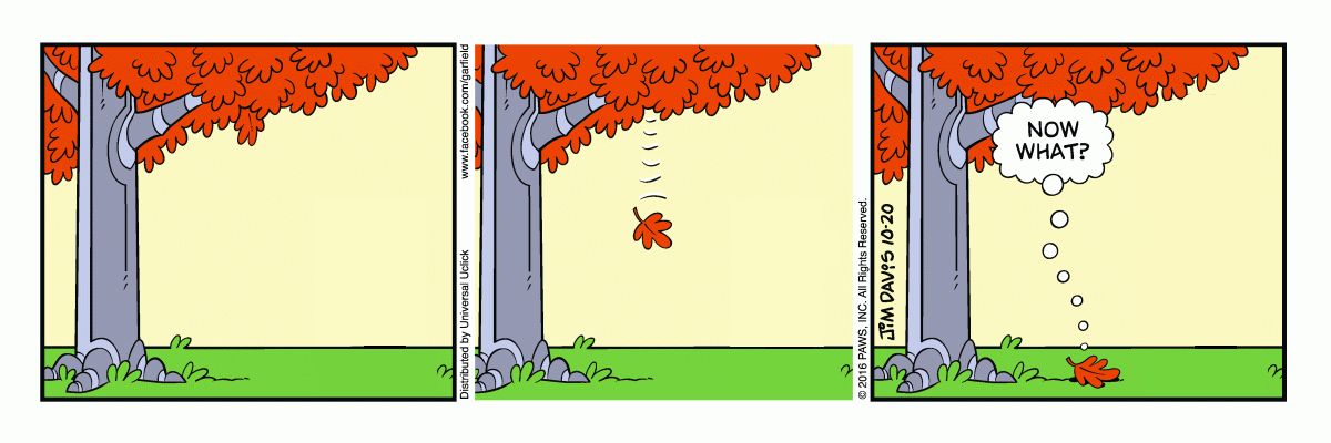 Just a leaf falling. | Scrolller