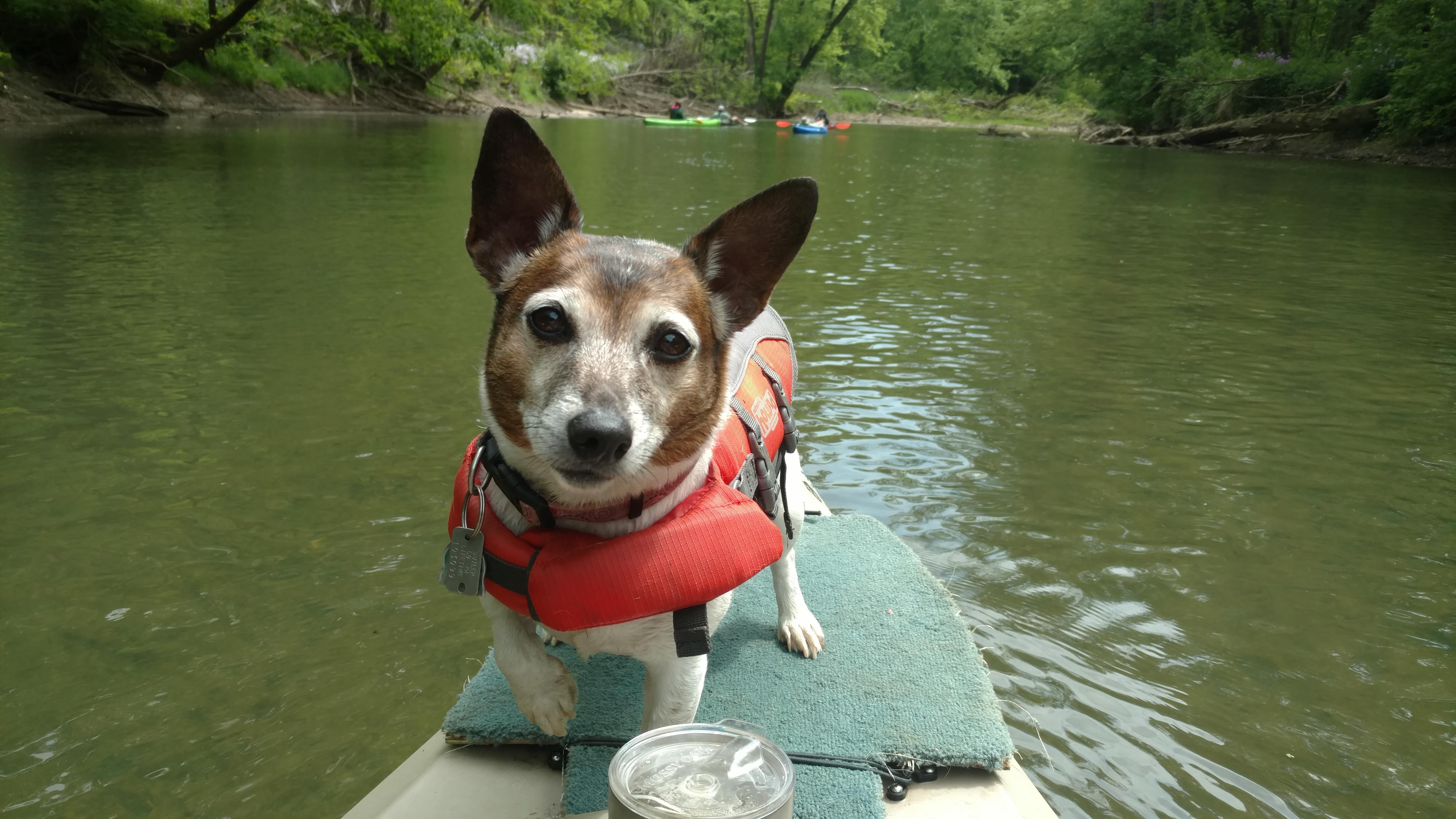 Just a pic of my River Hound. | Scrolller