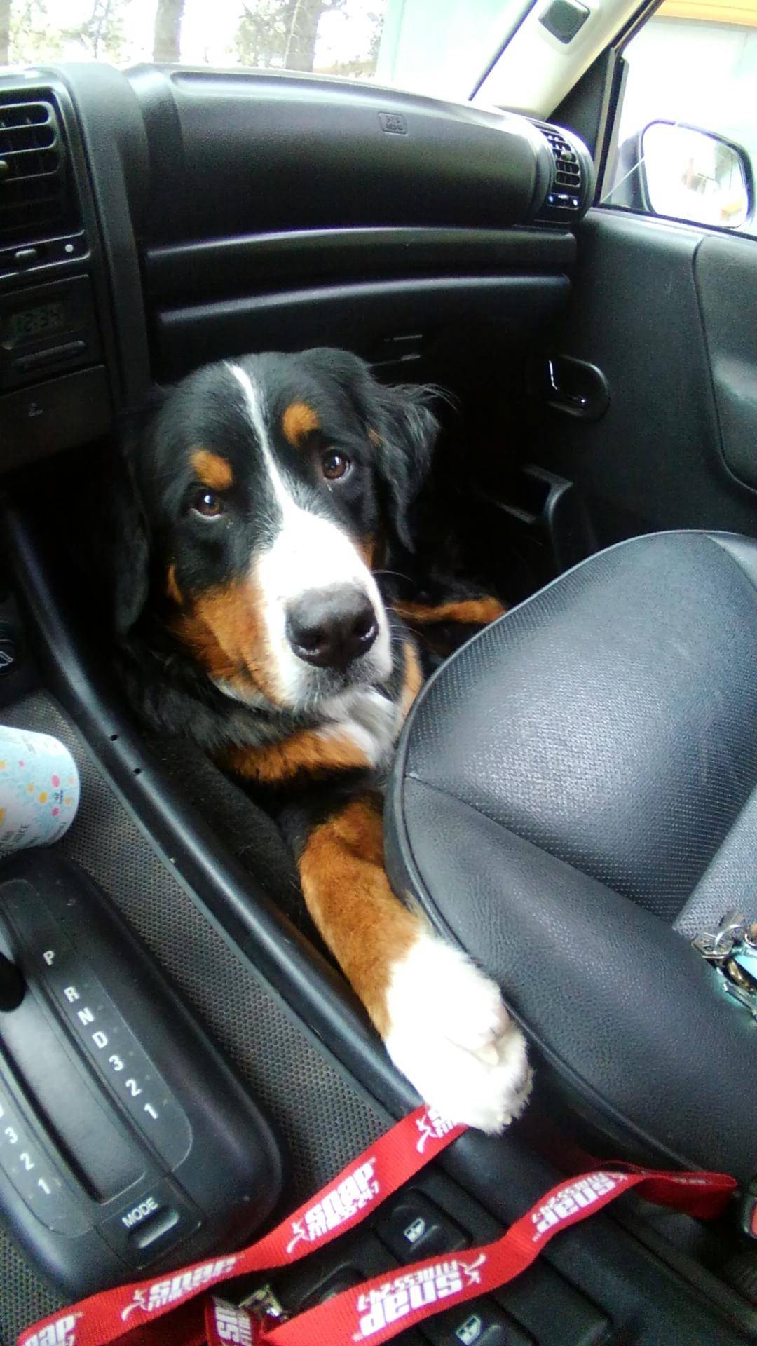 Just barely fits these days | Scrolller