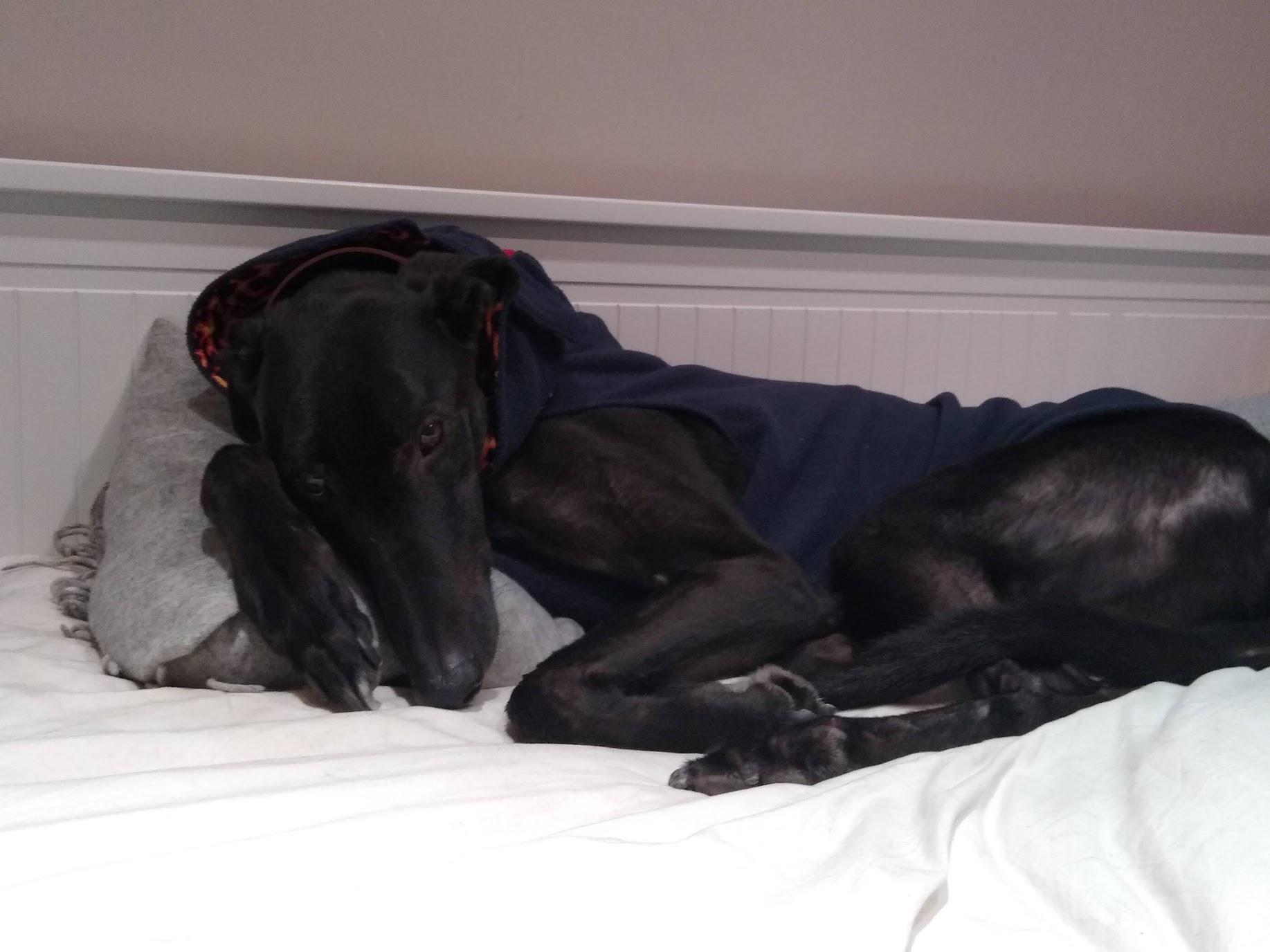 Just casually posing | Scrolller