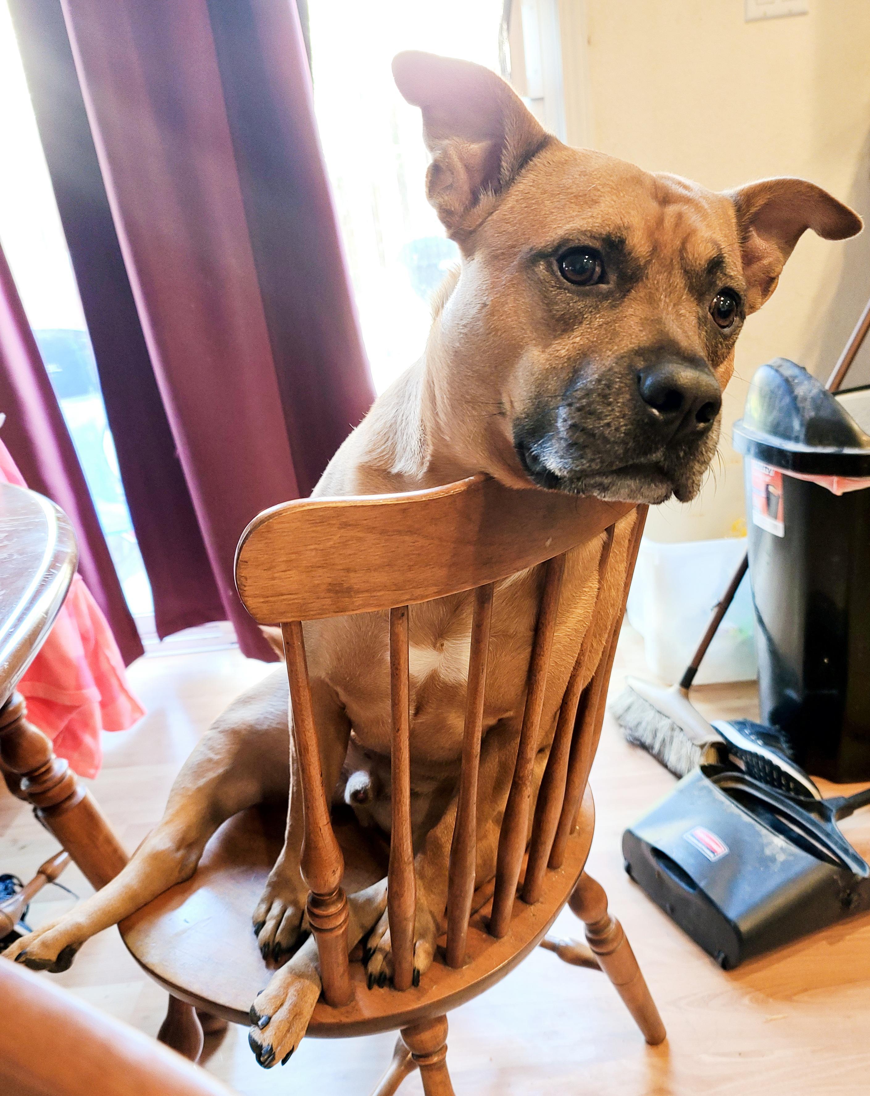 Just Chilling In a Chair | Scrolller