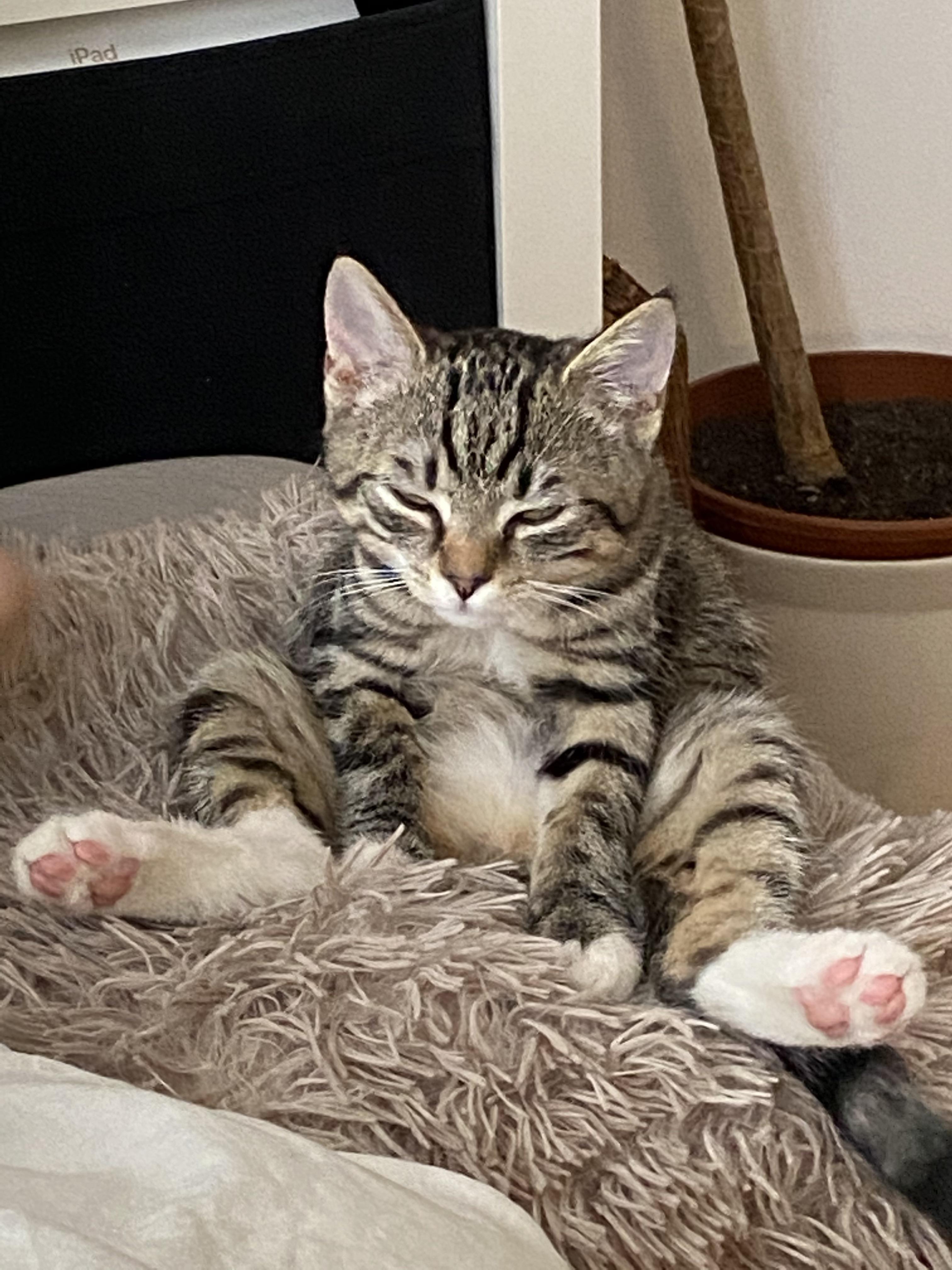 just done with everything | Scrolller