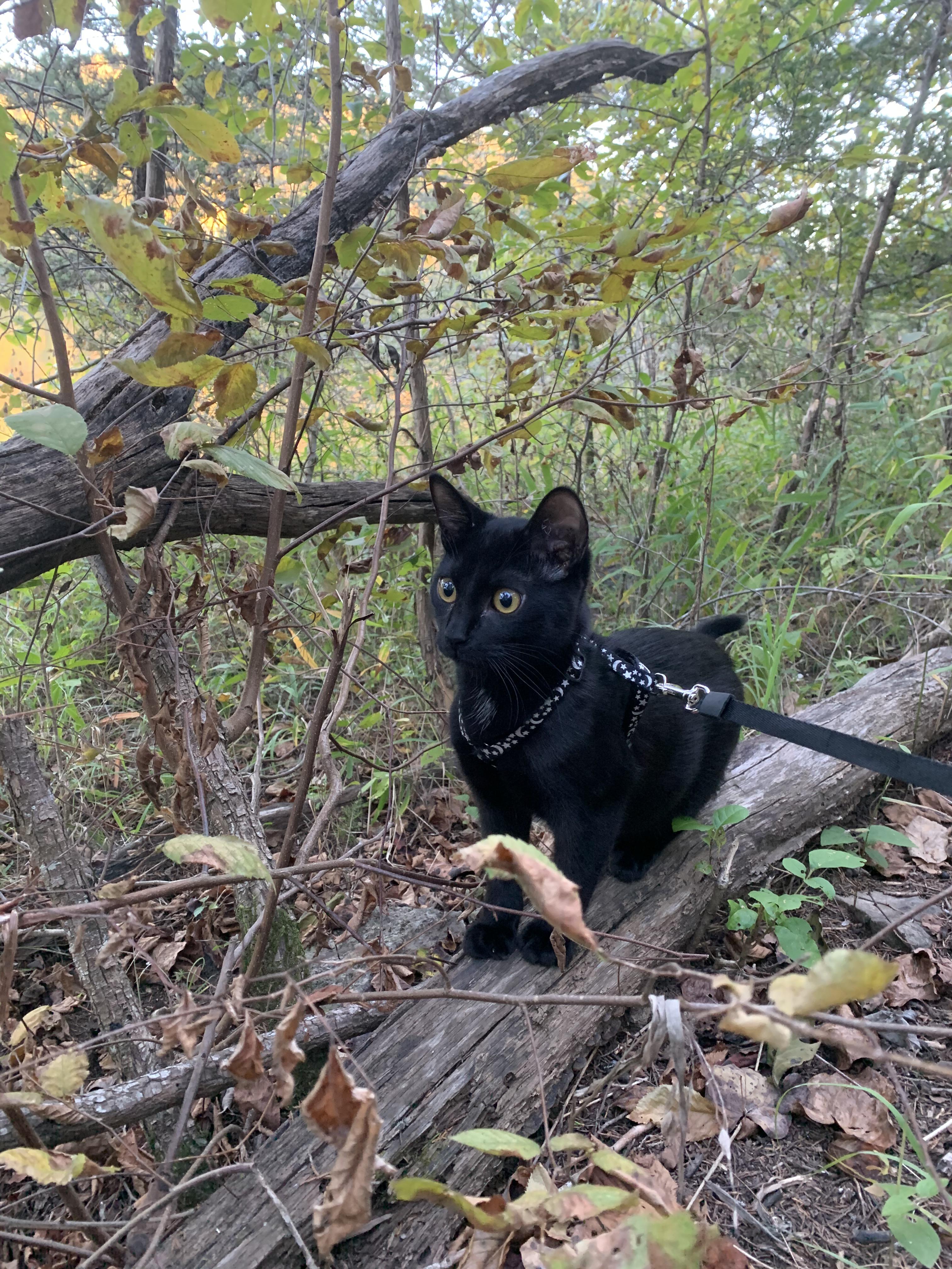 Just exploring | Scrolller