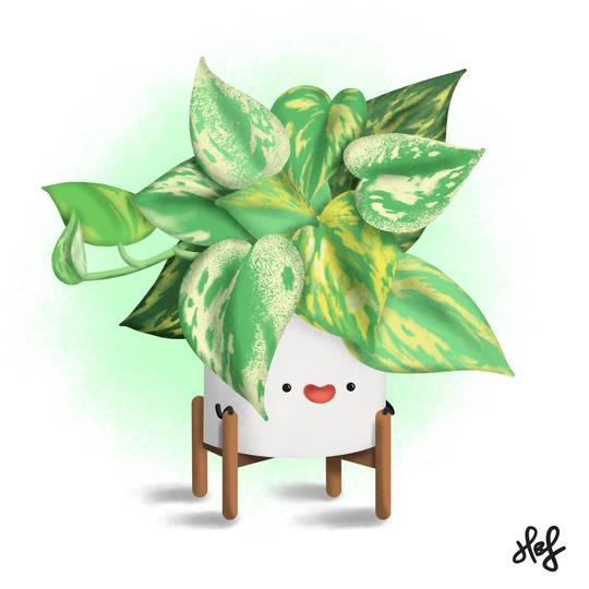 Just finished this pothos illustration! | Scrolller