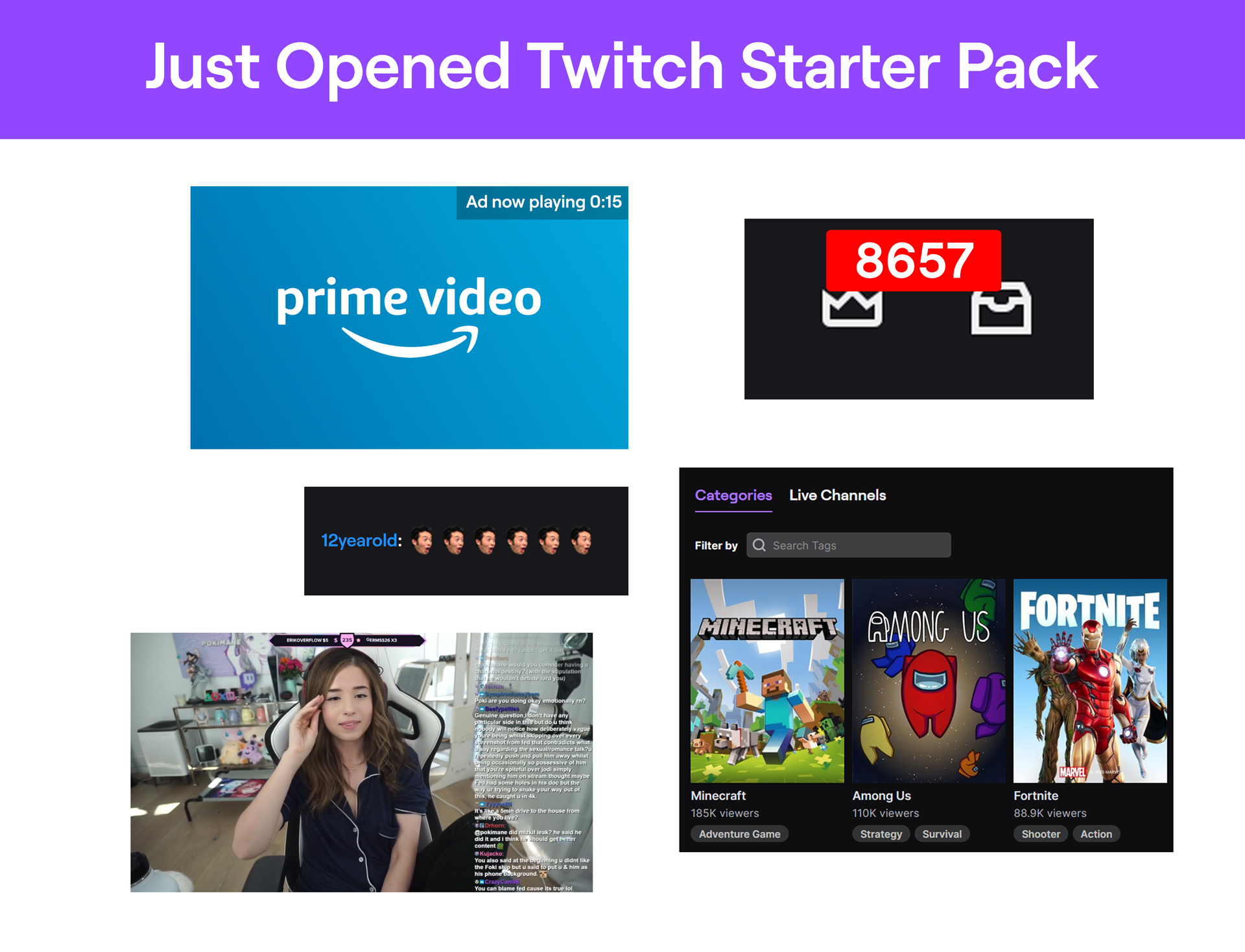 Just Opened Twitch Starter Pack | Scrolller