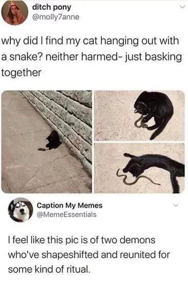 Just pals being pals! | Scrolller