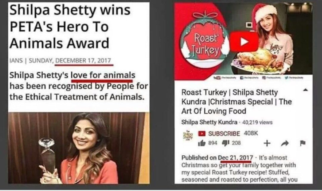 Just PETA being PETA | Scrolller