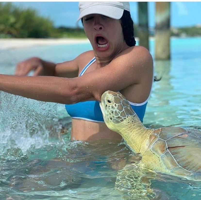 just something different | Scrolller