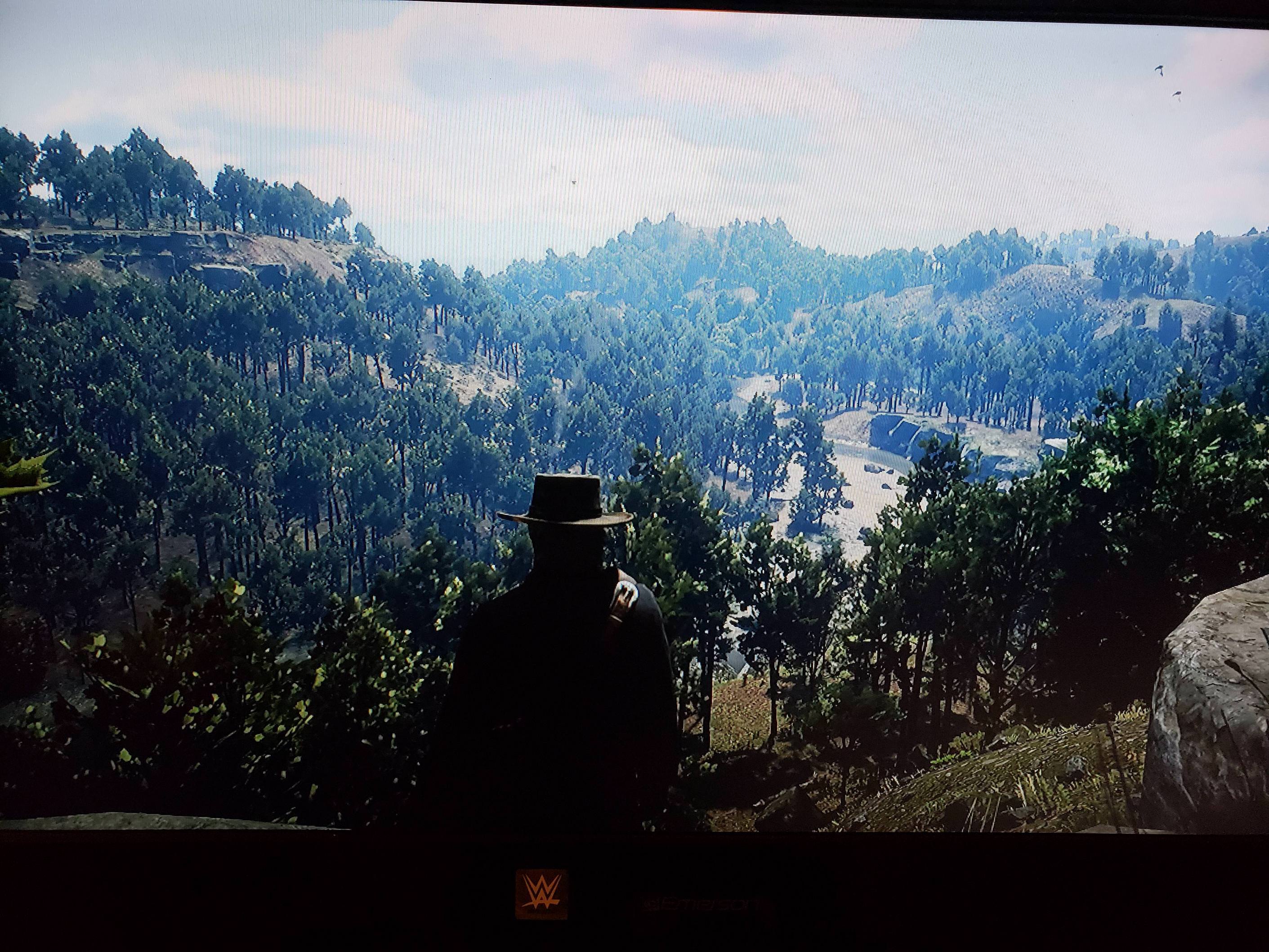 Just to follow up and confirm, Roanoke Ridge in RDR2 is DEFINITELY the Blue Ridge Mountains ...
