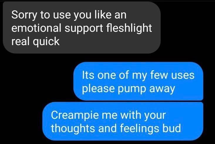 “Emotional support flashlight” | Scrolller