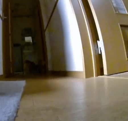 Kato attacks | Scrolller