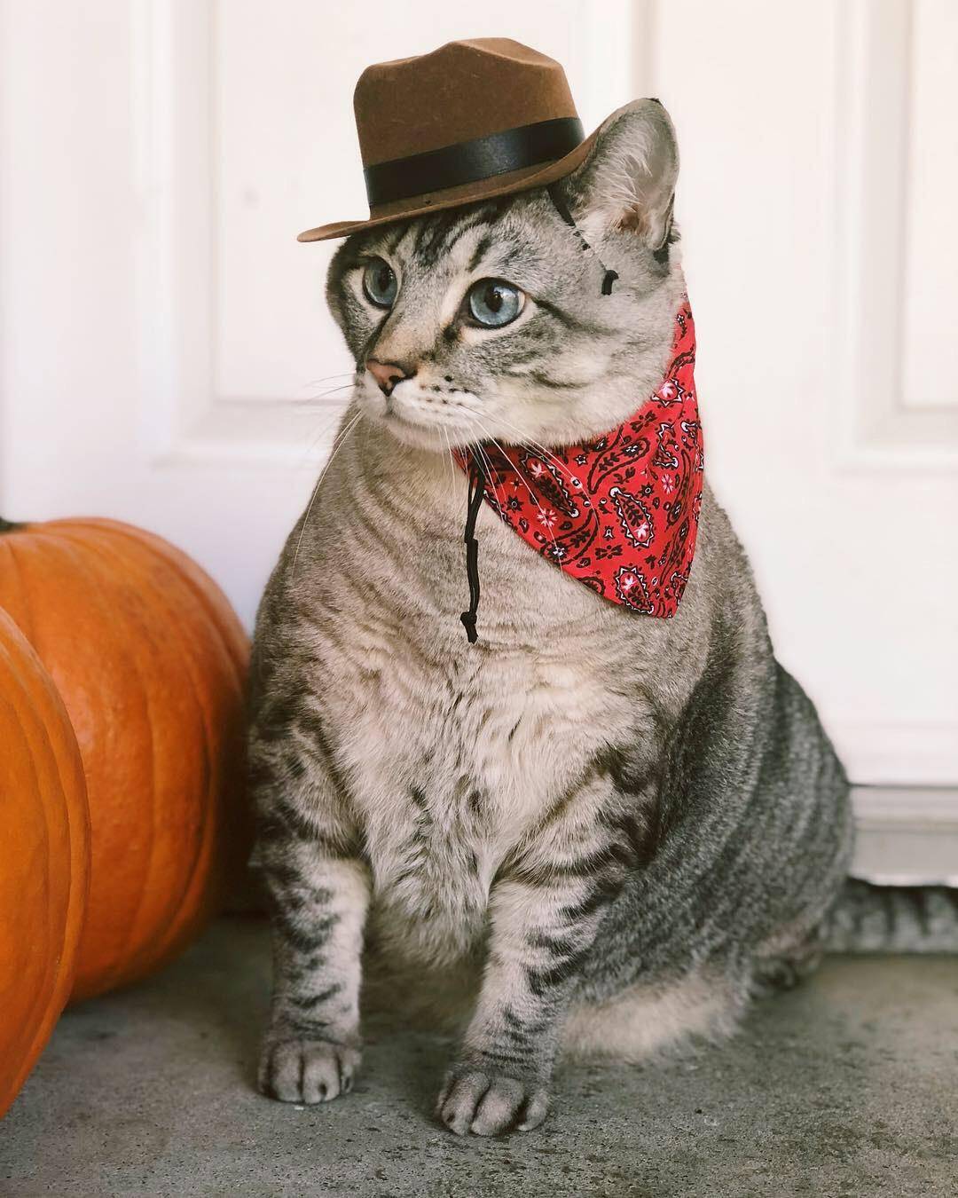 KB the cowboy 🤠 | Scrolller