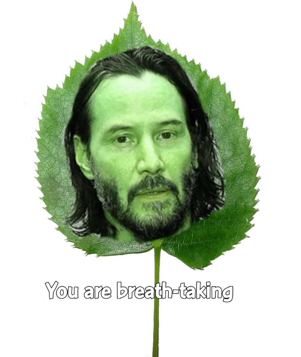 Keanu leeves | Scrolller