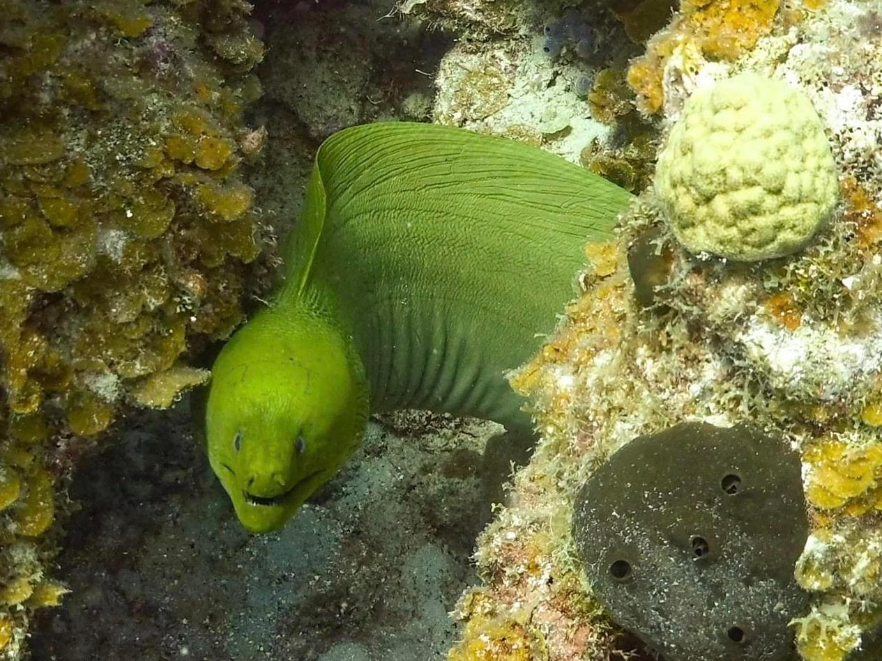 Keep your distance! | Scrolller