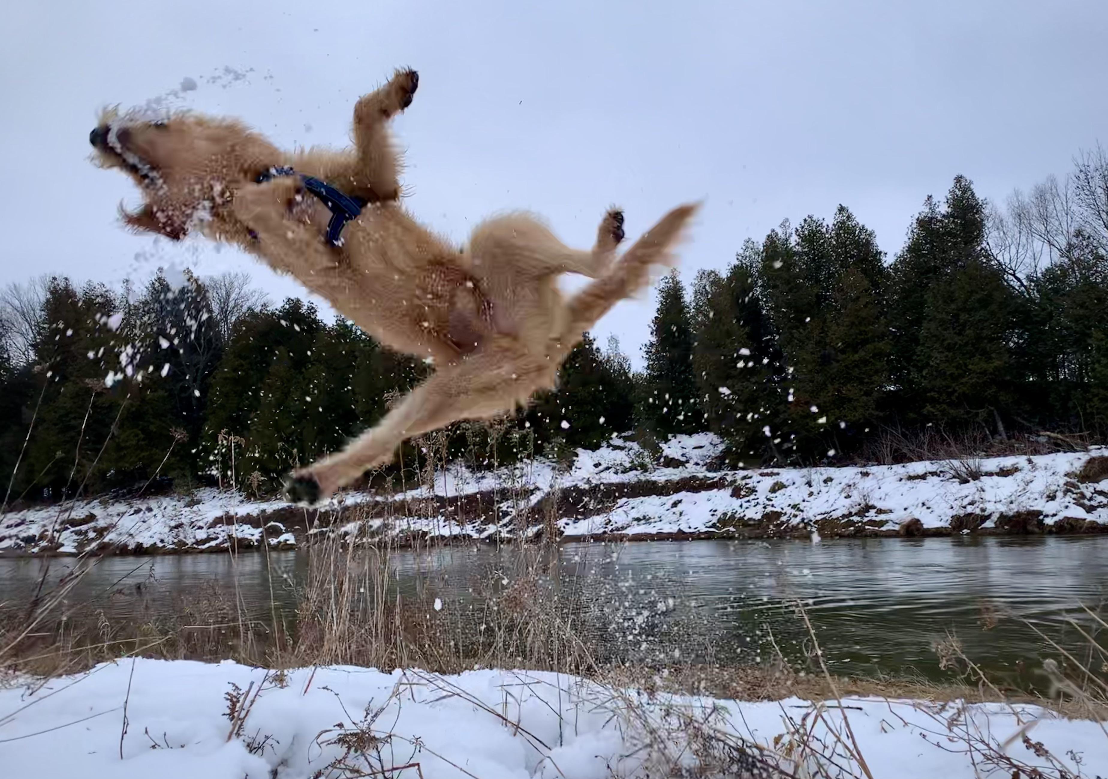 Keepin' it classy. 9.2 for sticking the landing. | Scrolller