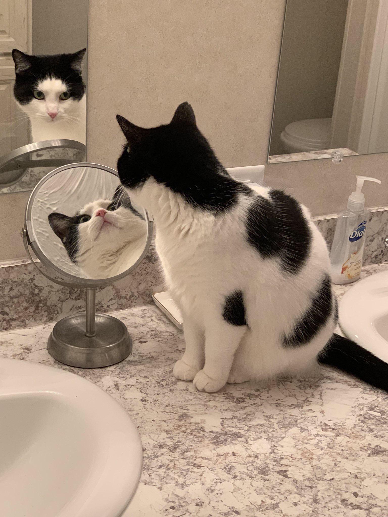 Keeping Eye Contact Scrolller