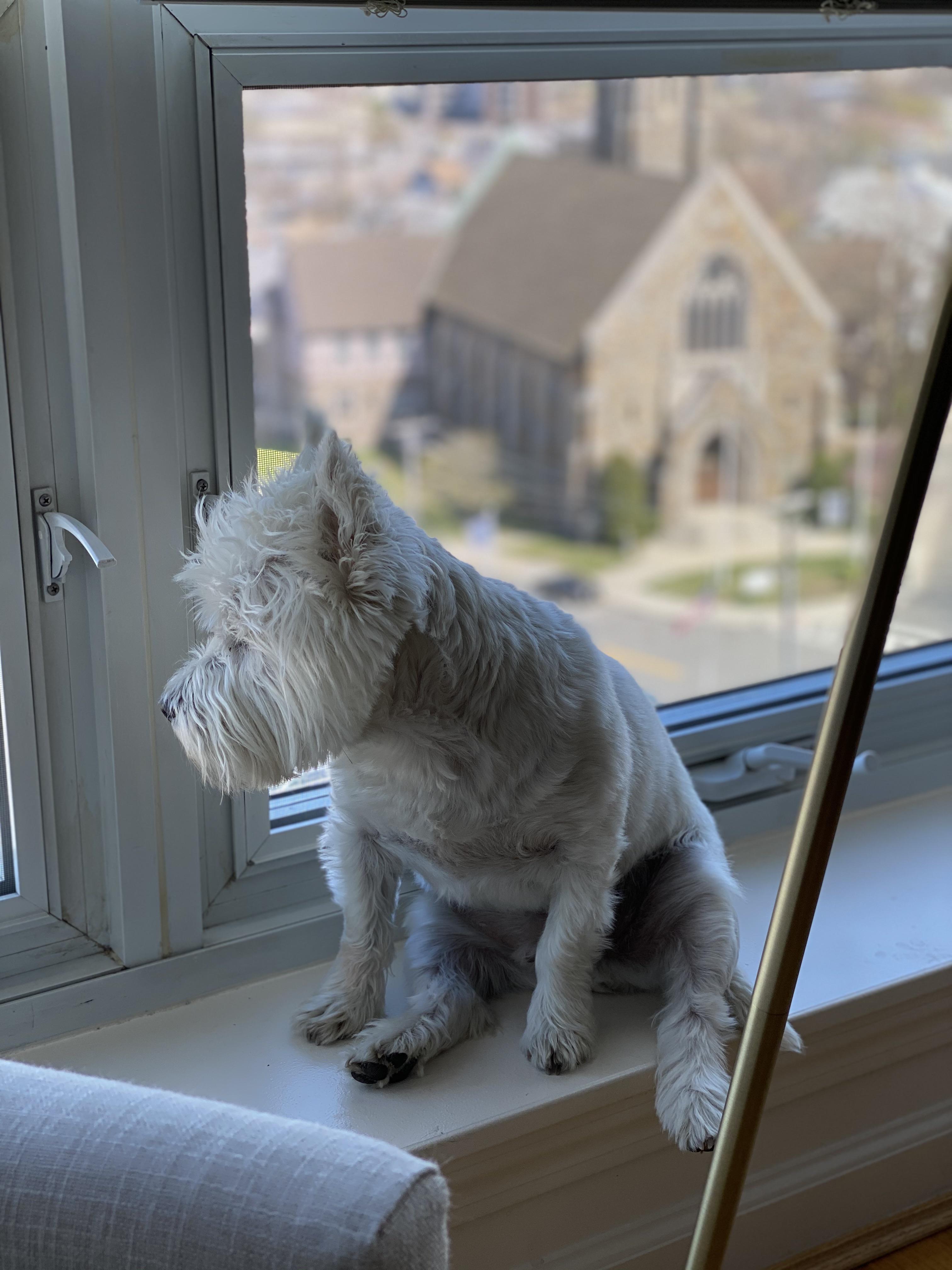 Keeping watch | Scrolller